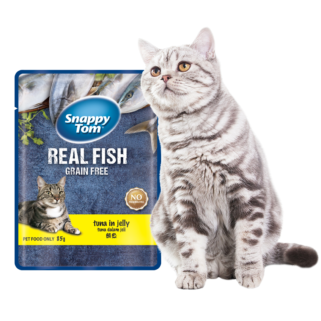 Tuna in Jelly – Snappy Tom
