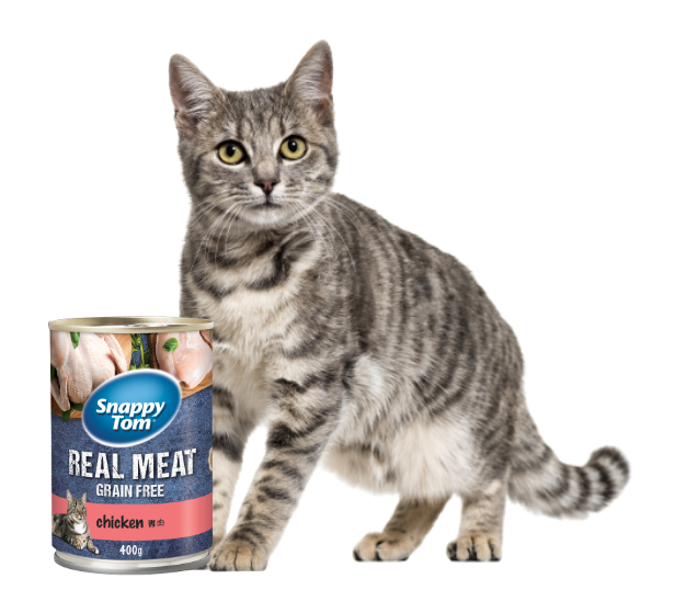 Chicken – Snappy Tom