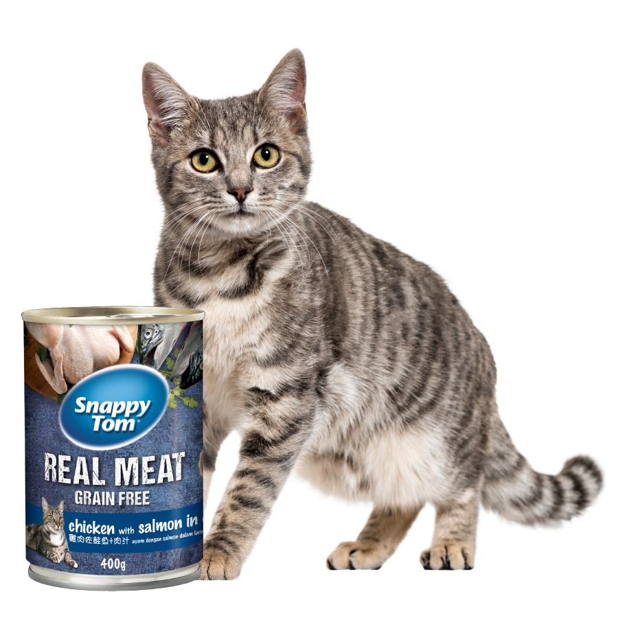 Chicken with Salmon in Gravy – Snappy Tom