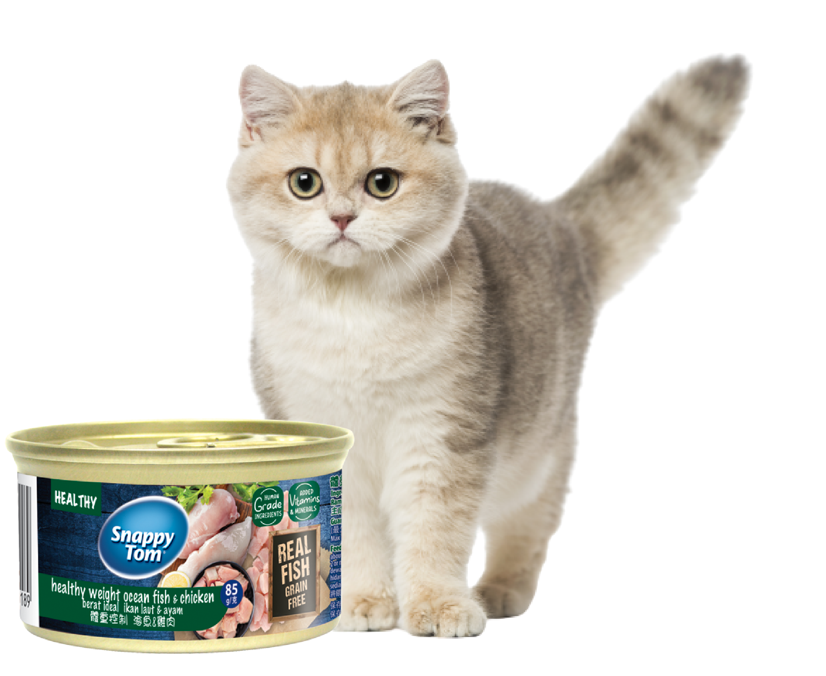 Healthy Weight Ocean Fish & Chicken – Snappy Tom